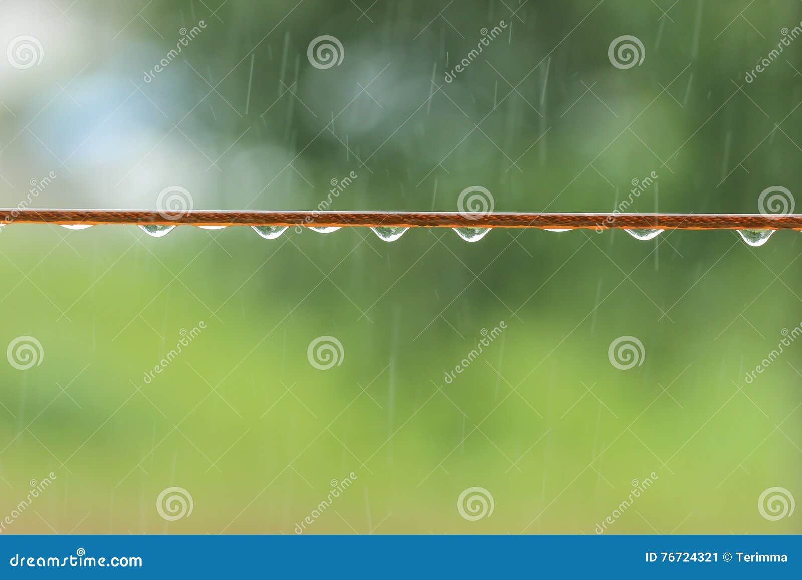 Rain drops on the rope. stock image. Image of nature - 76724321