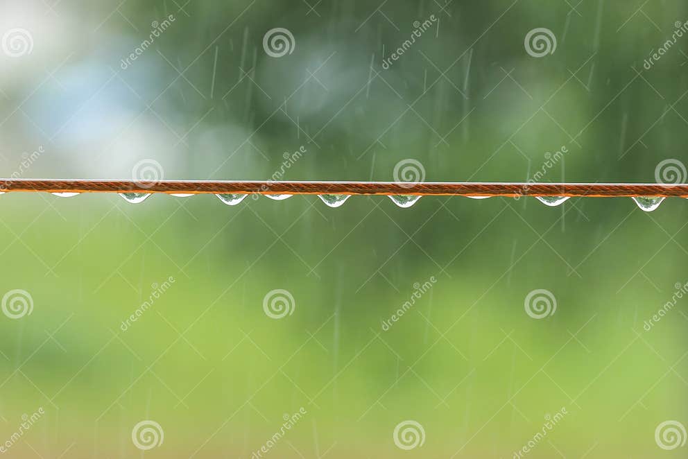 Rain drops on the rope. stock image. Image of nature - 76724321