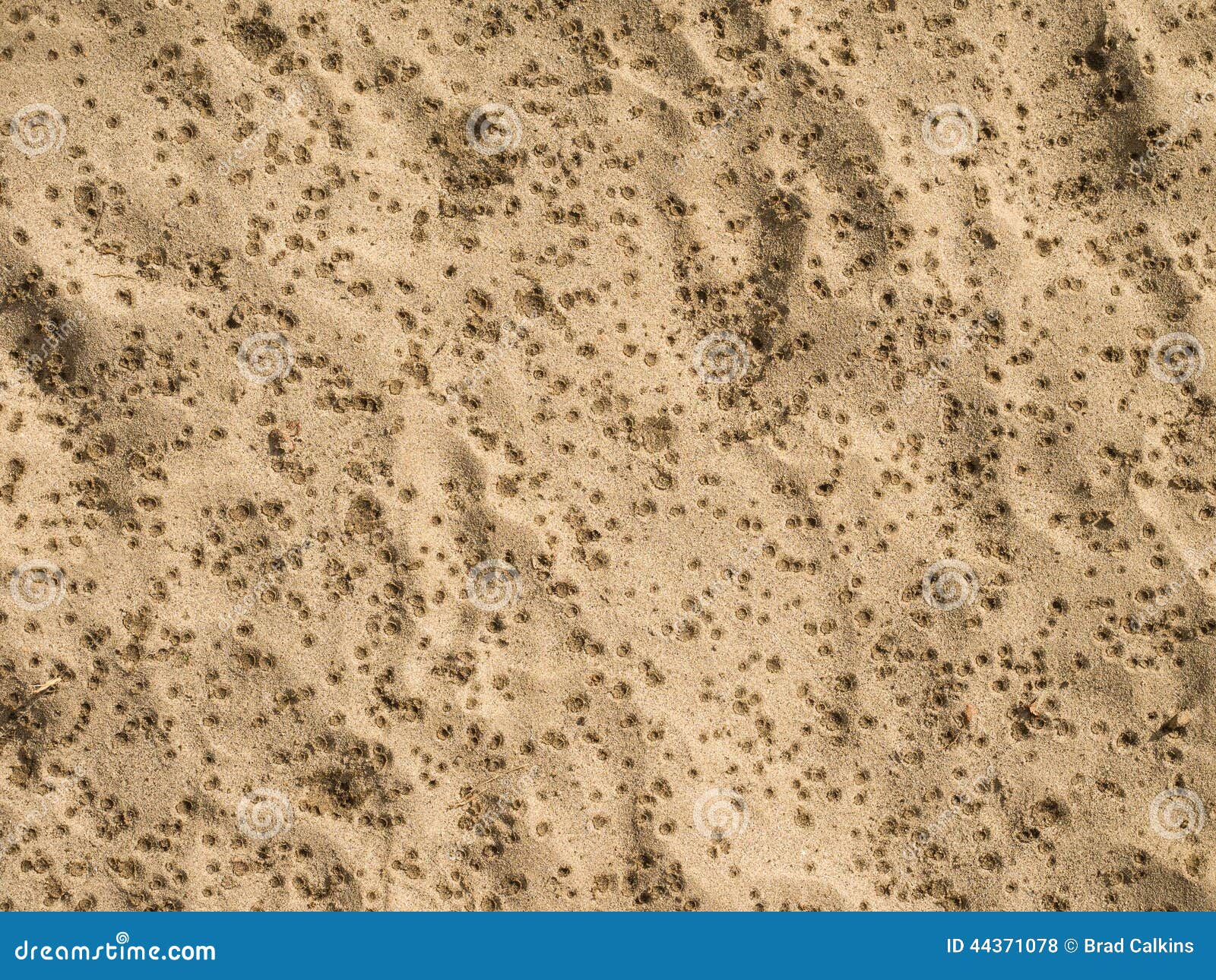 Rain drops stock photo. Image of shore, background, sandy - 44371078