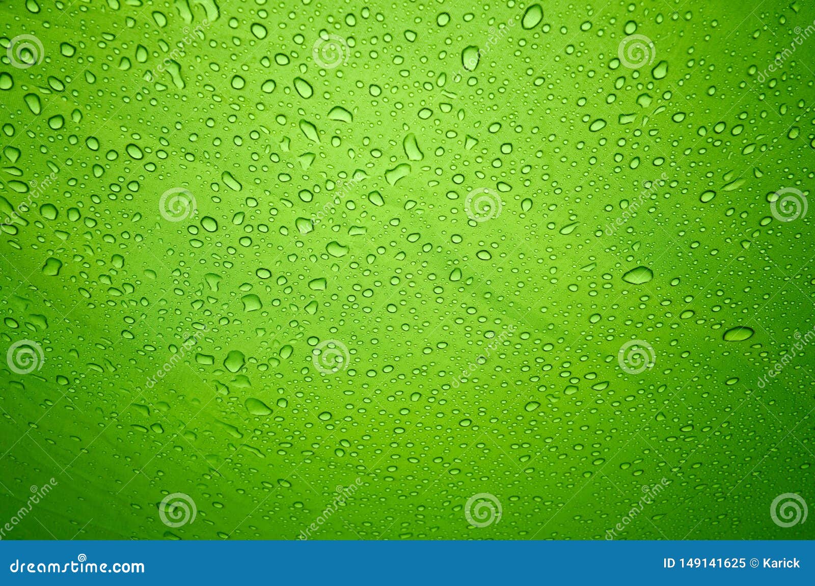 Rain Drops on the Solid Abstract Green Background Stock Image - Image ...
