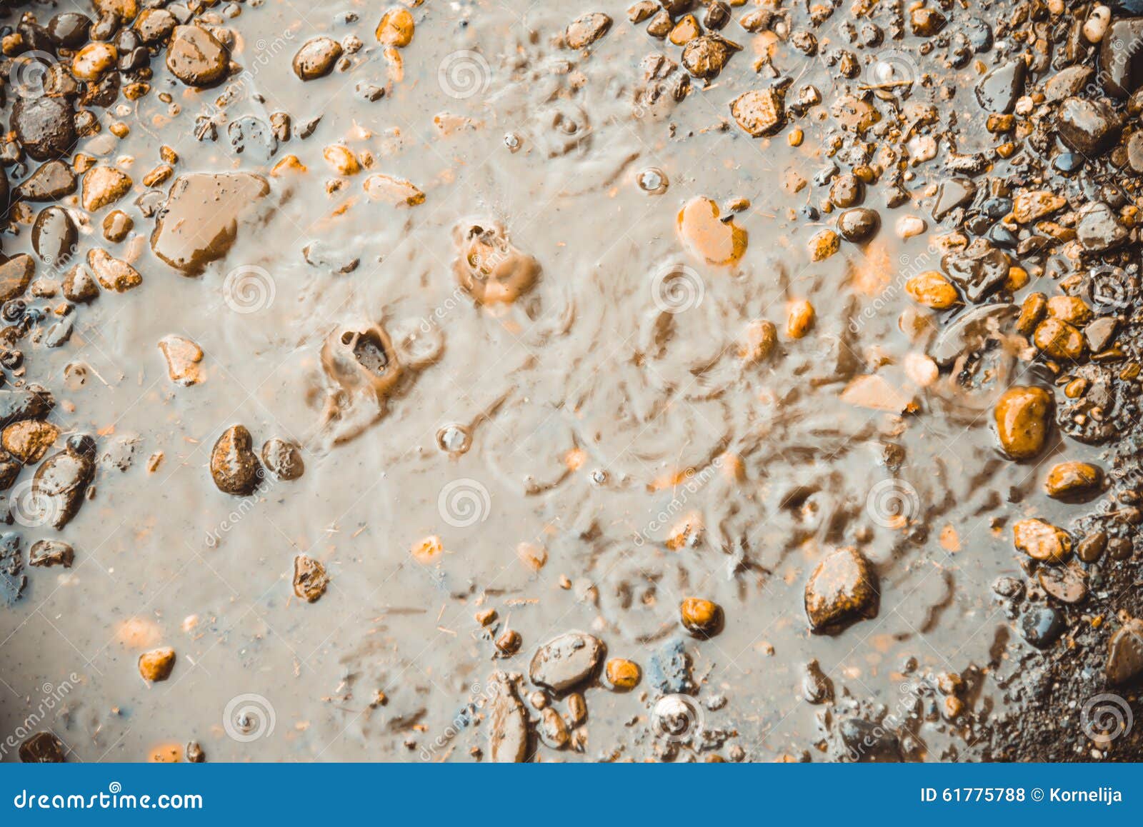 Rain drops stock photo. Image of nature, season, closeup - 61775788