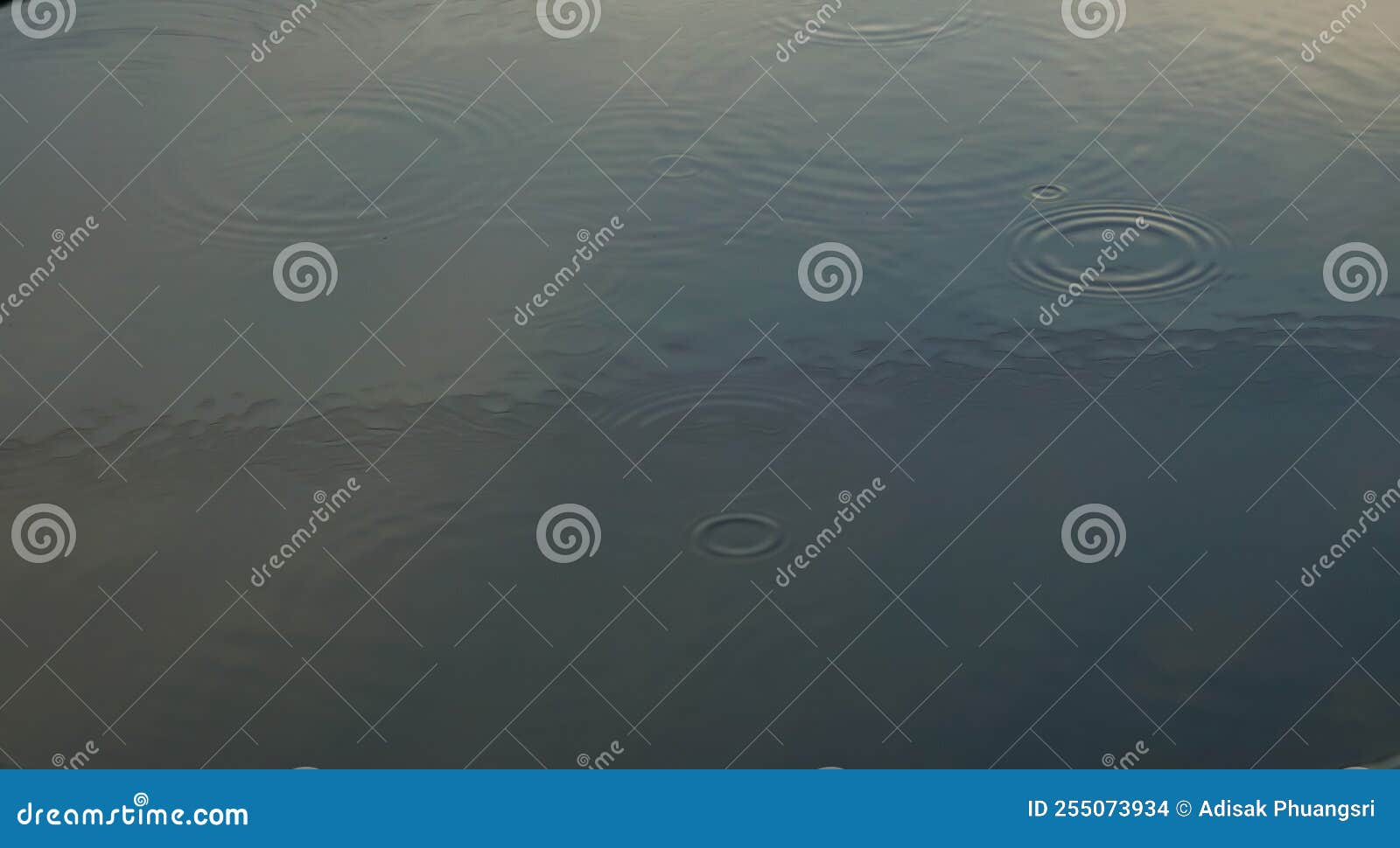 The Rain Drops on the Surface of the Pond. Stock Photo - Image of ...