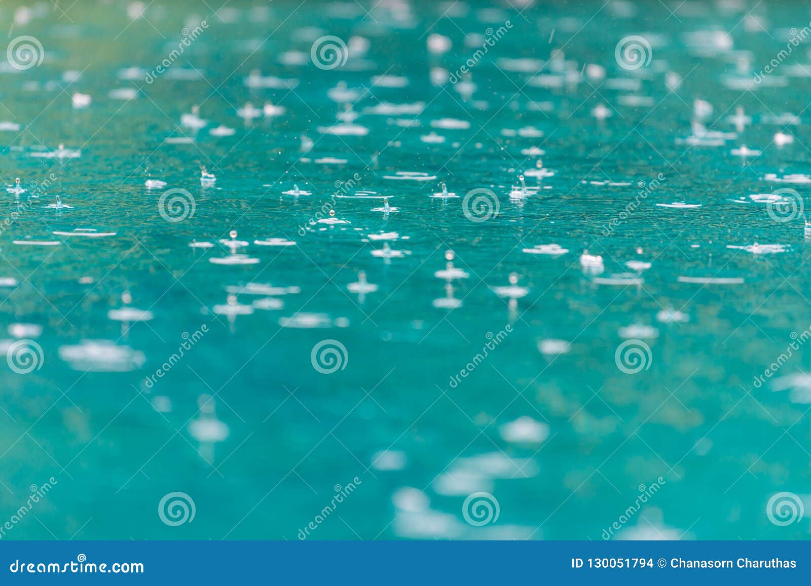 Rain Drops on the Surface of the Pool. Stock Photo - Image of travel ...