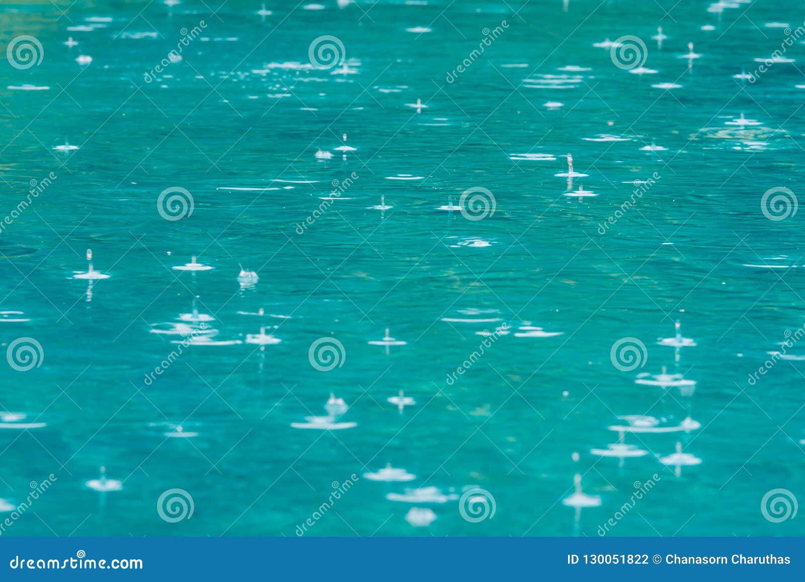 Rain Drops on the Surface of the Pool. Stock Photo - Image of surface ...