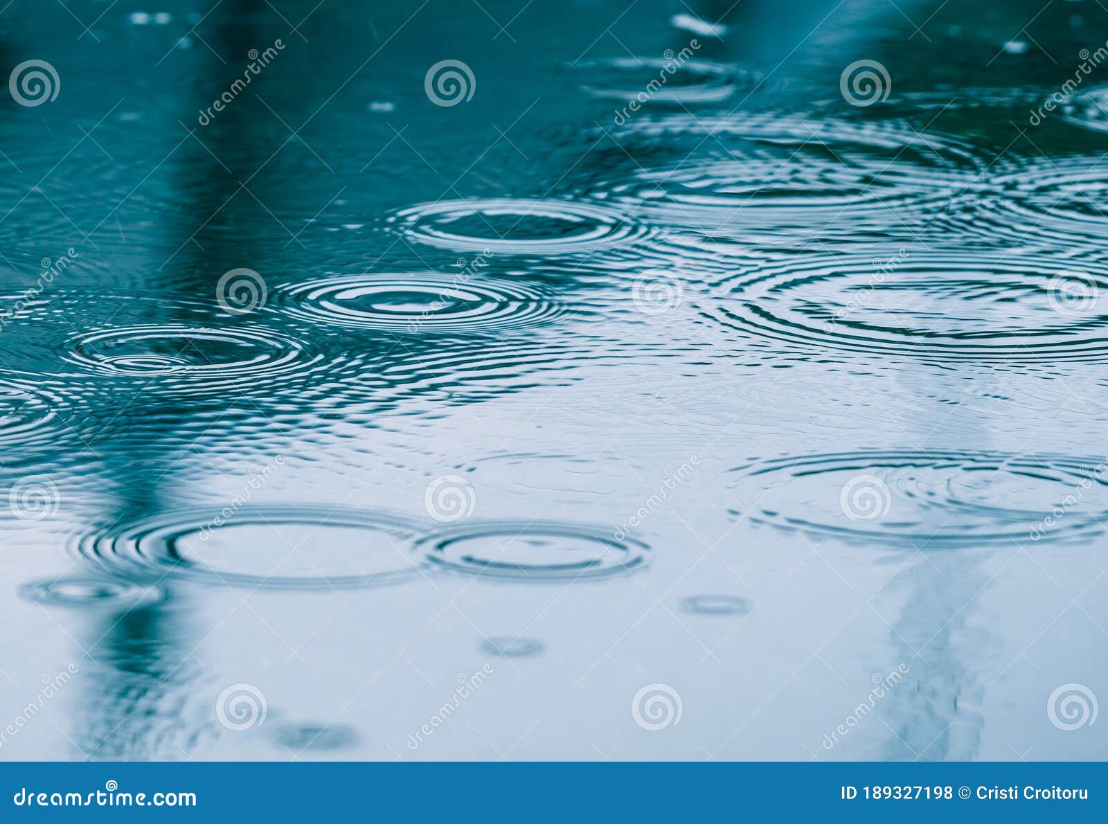 Rain Drops on the Surface of the Water Forming Ripples Stock Photo ...