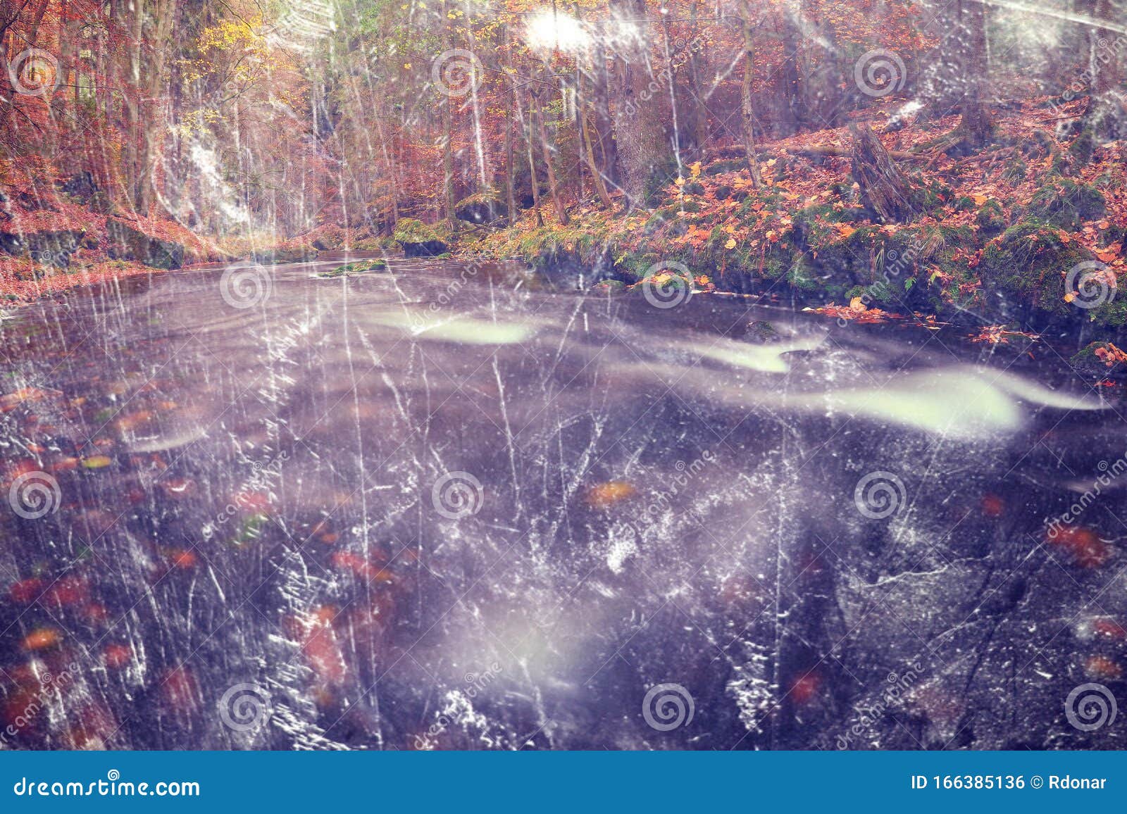 Rain Drops on the Surface of Water in a River Puddle Stock Photo ...