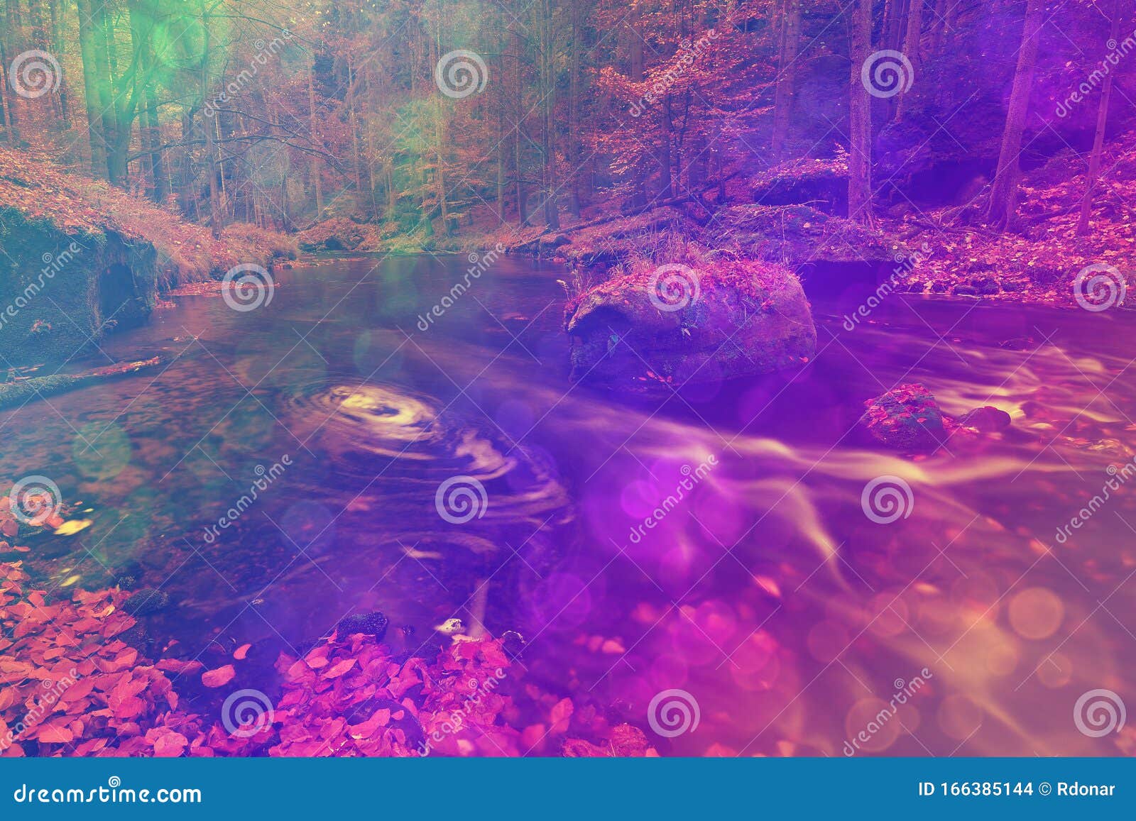 Rain Drops on the Surface of Water in a River Puddle Stock Photo ...