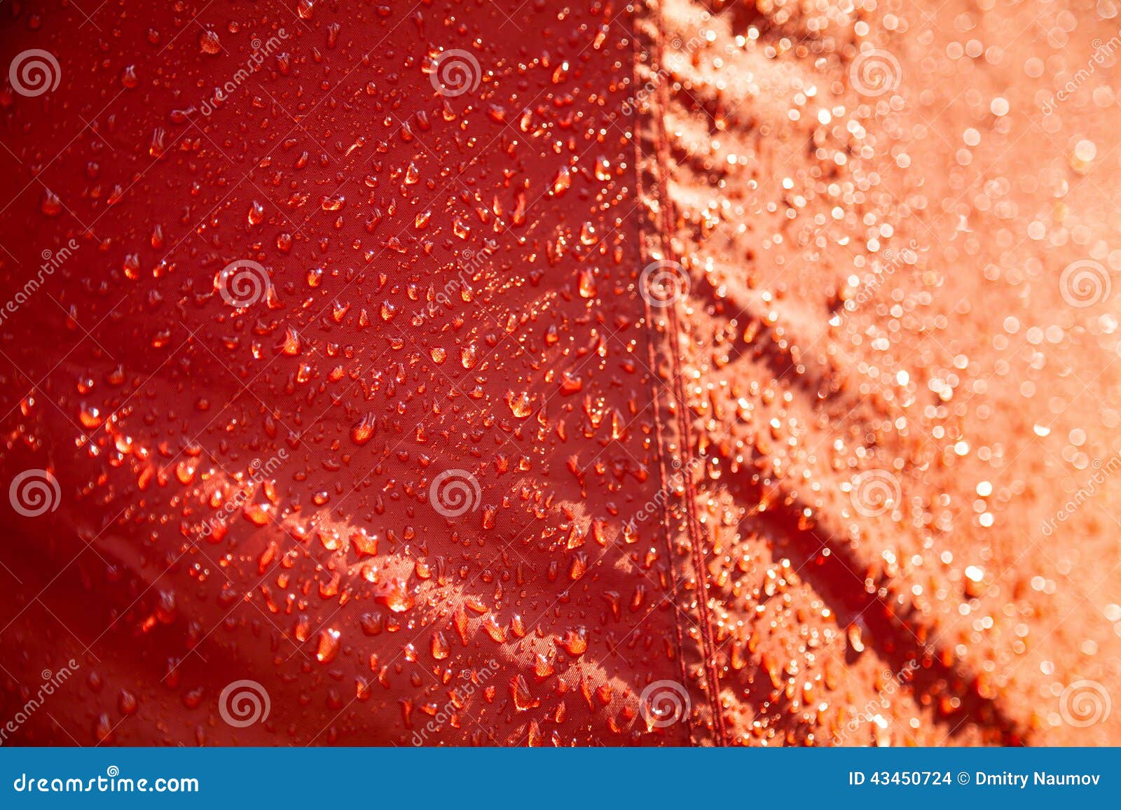 Rain drops on a tent stock photo. Image of cover, drop - 43450724