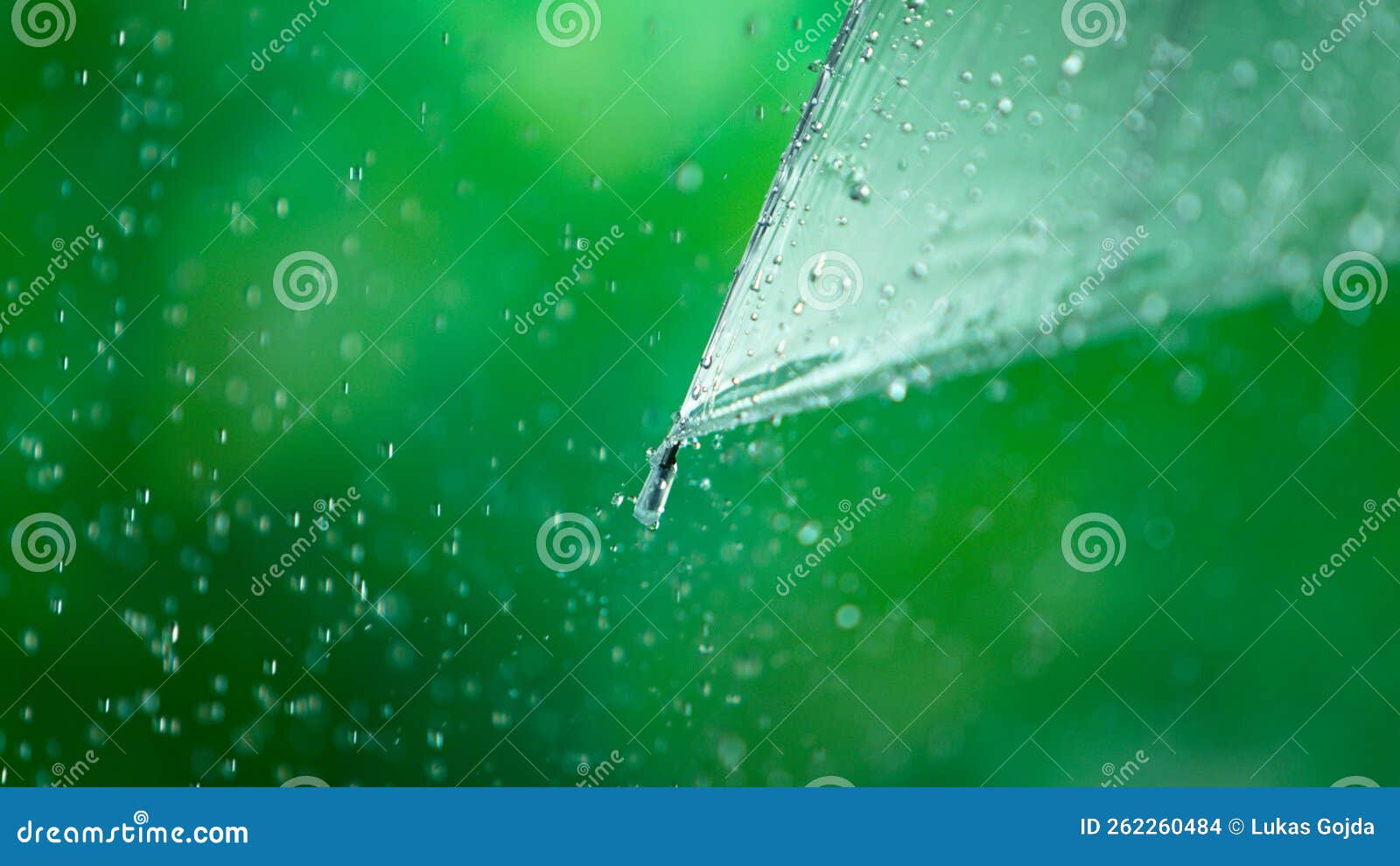 Rain Drops on Transparent Umbrella Stock Photo - Image of freeze, rain ...
