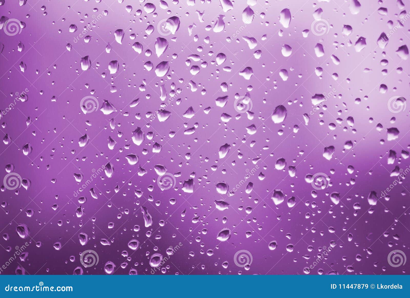 Rain Drops with Violet Light Stock Image - Image of cool, abstract ...