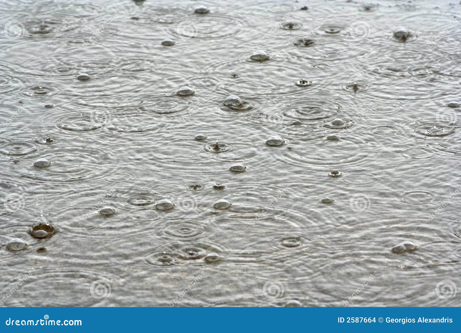 Rain Drops in the Water stock photo. Image of circles - 2587664