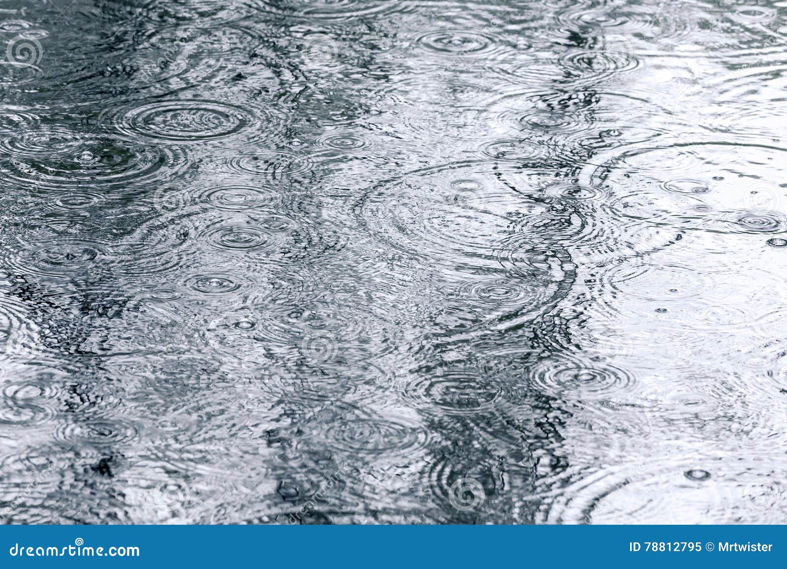 Rain Drops on Water Surface with Tree Reflection Stock Image - Image of ...