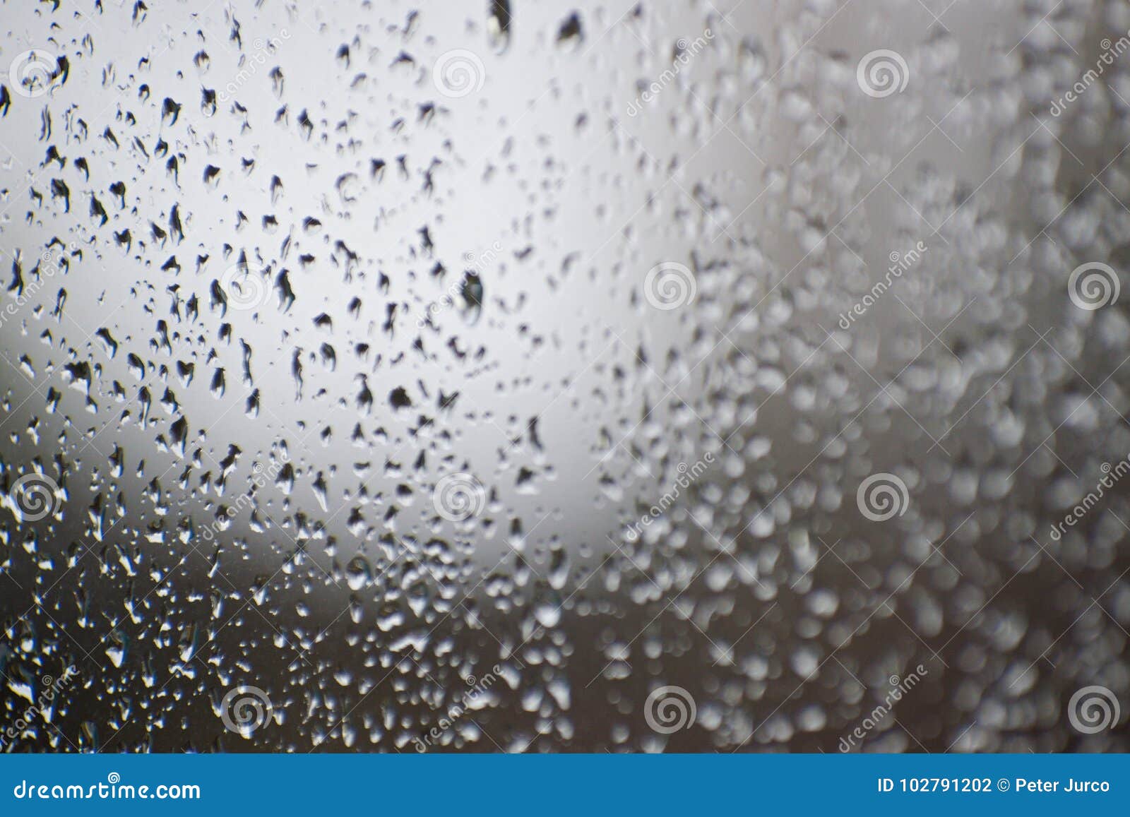 Rain drops on a window stock photo. Image of condensation - 102791202