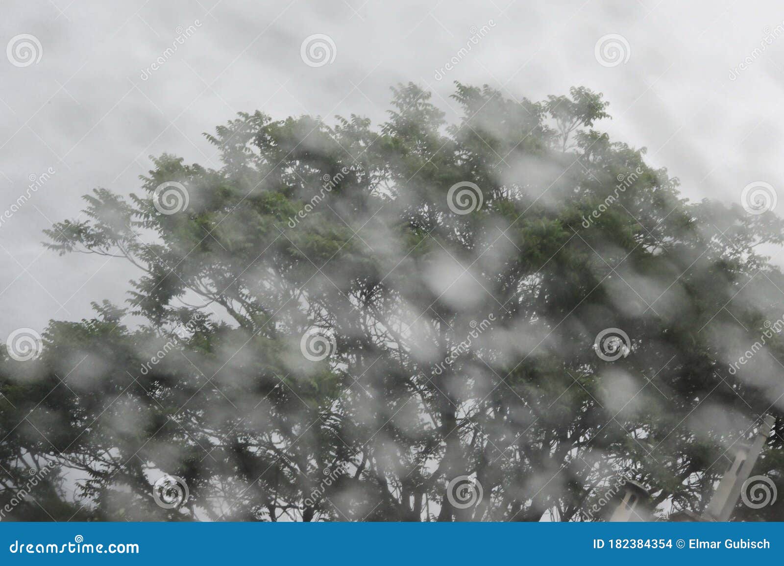 Rain Drops on a Window with Tree Stock Photo - Image of climate ...