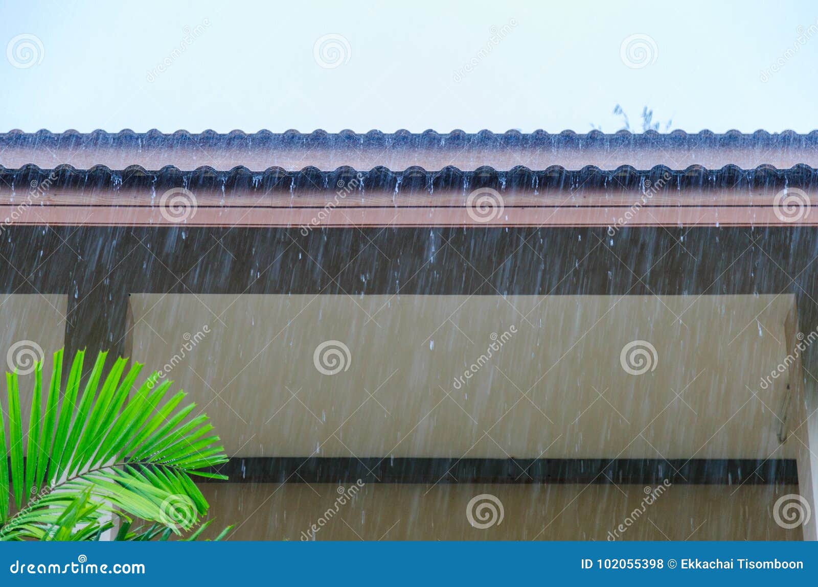 A Rain Fall Down on the Roof. Stock Photo - Image of rainwater, nature ...