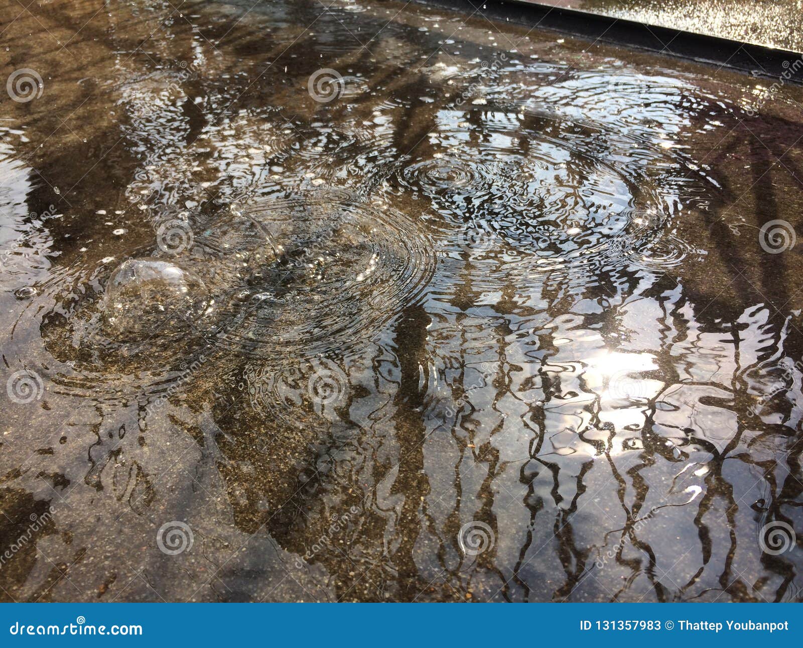 Rain fall on the ground stock image. Image of detail - 131357983