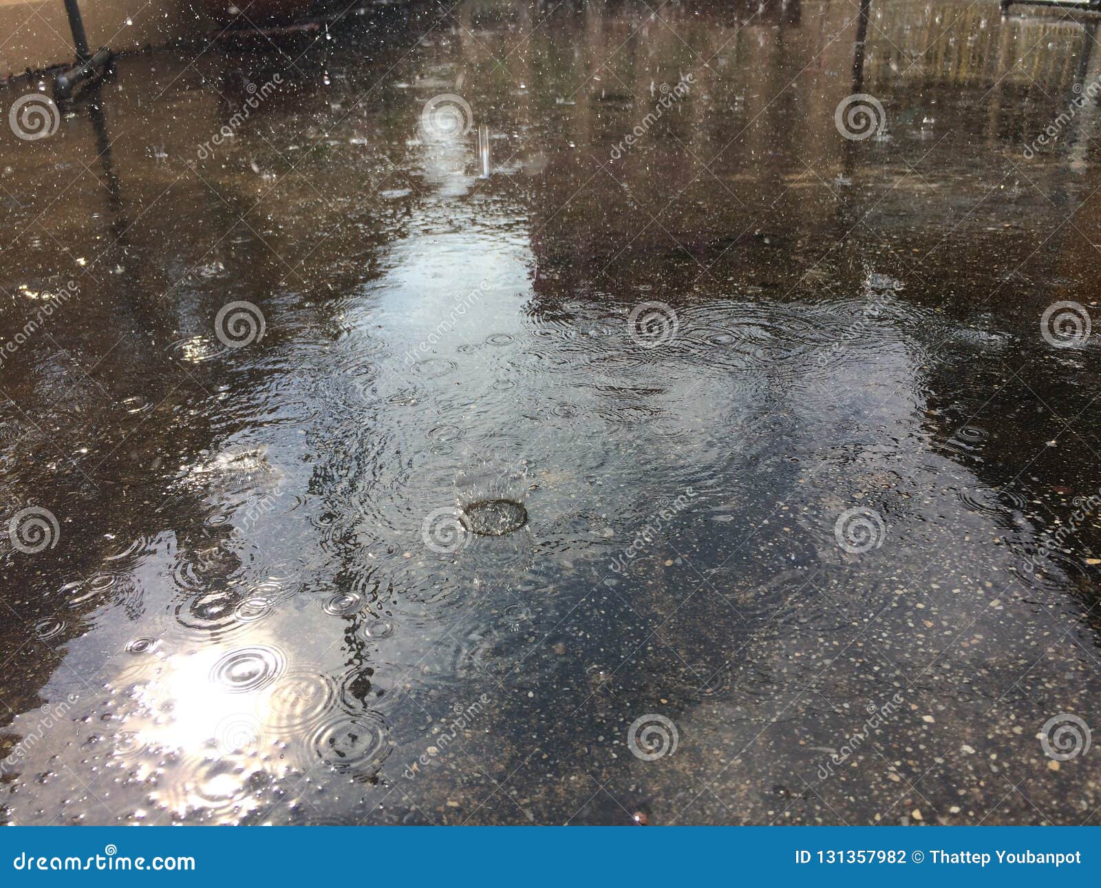 Rain fall on the ground stock photo. Image of natural - 131357982