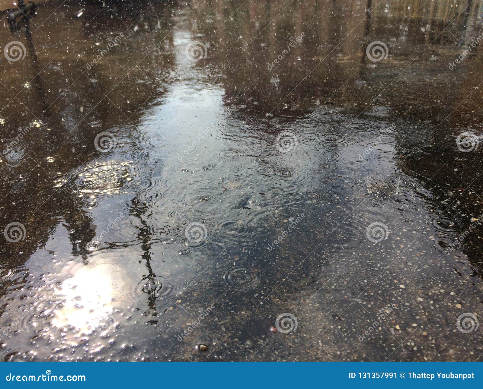 Rain fall on the ground stock image. Image of landscape - 131357991