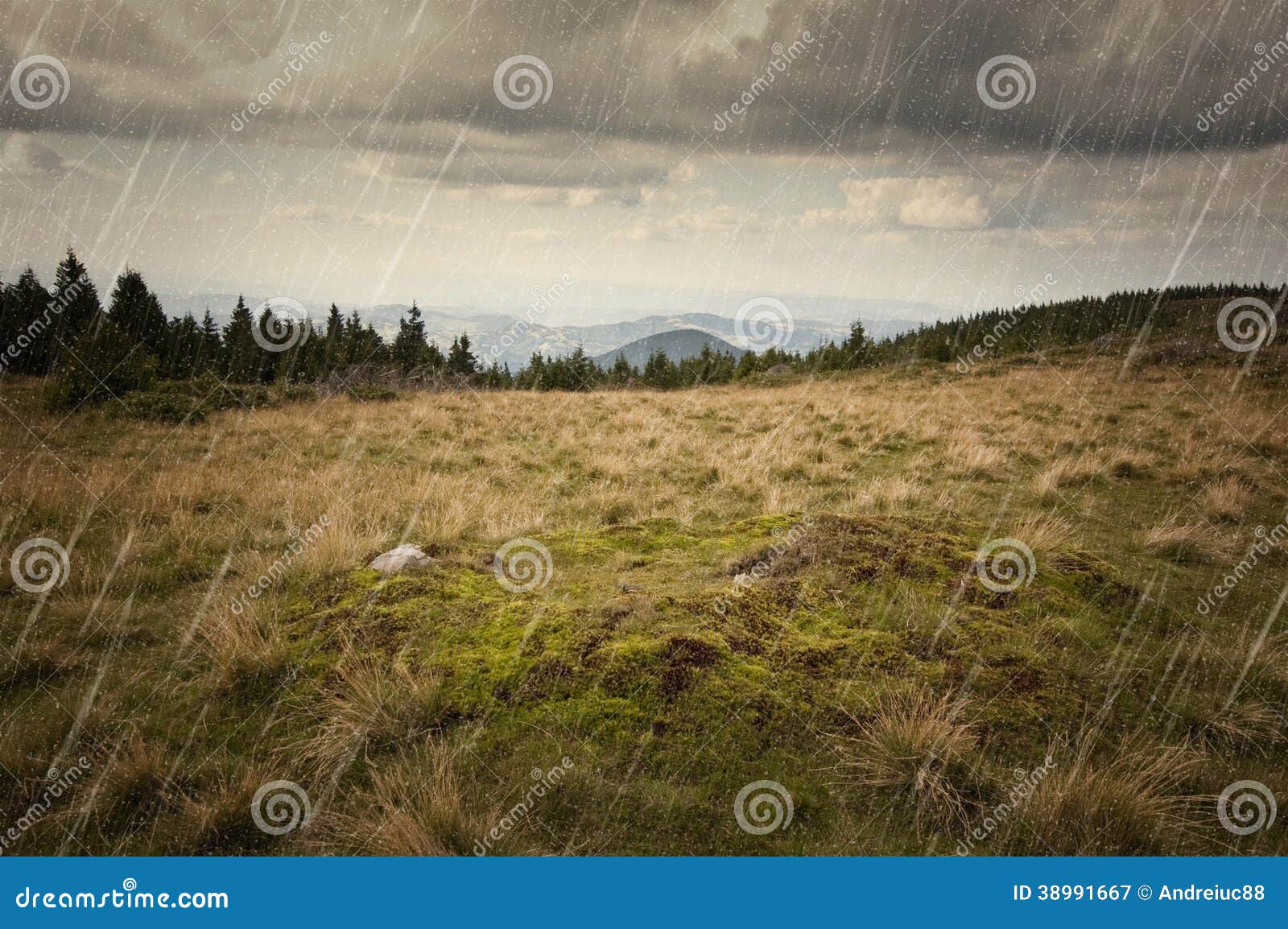 Rain Falling Over Mountain Meadow Landscape Stock Image - Image of ...