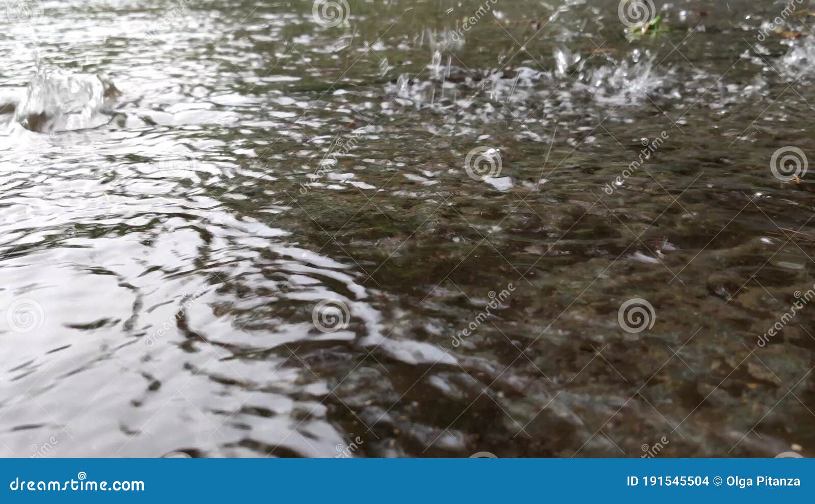Rain Falling on Pavement Rain Water Drop Falling To the Floor. the Rain ...