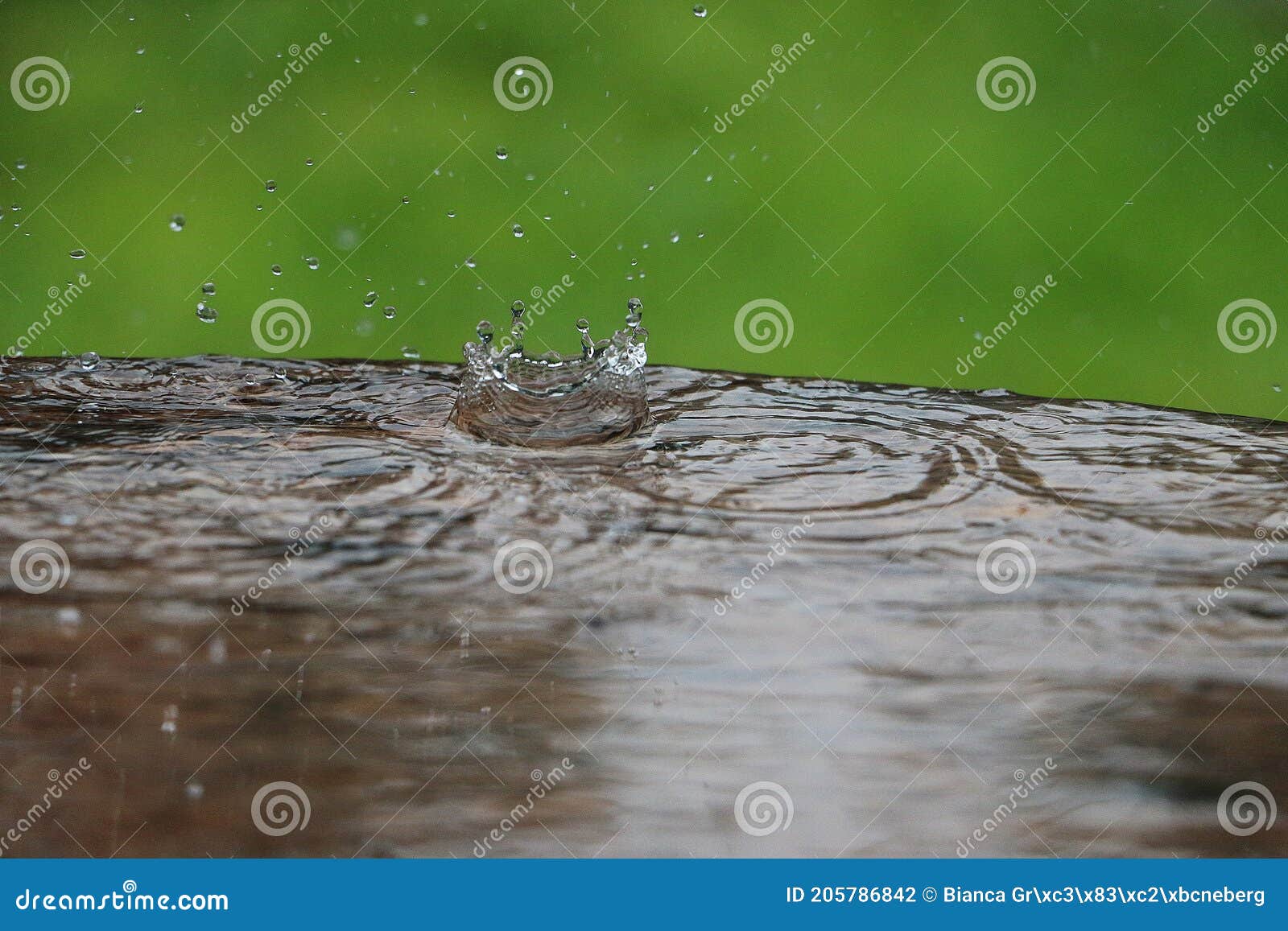 Rain is Falling in a Puddle in the Garden Stock Photo - Image of autumn ...