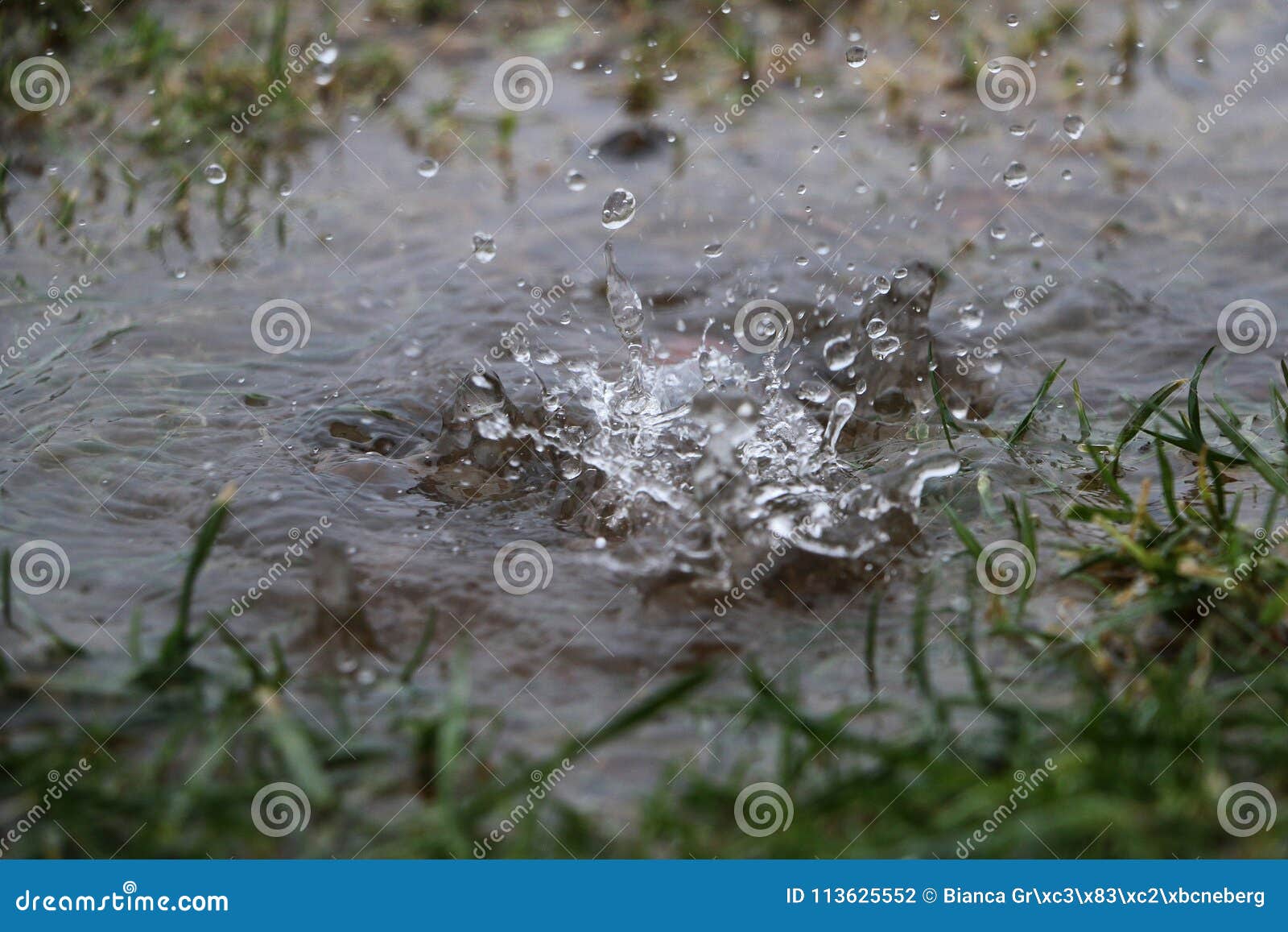 Splashing Rain in the Puddle Stock Photo - Image of circle, floor ...