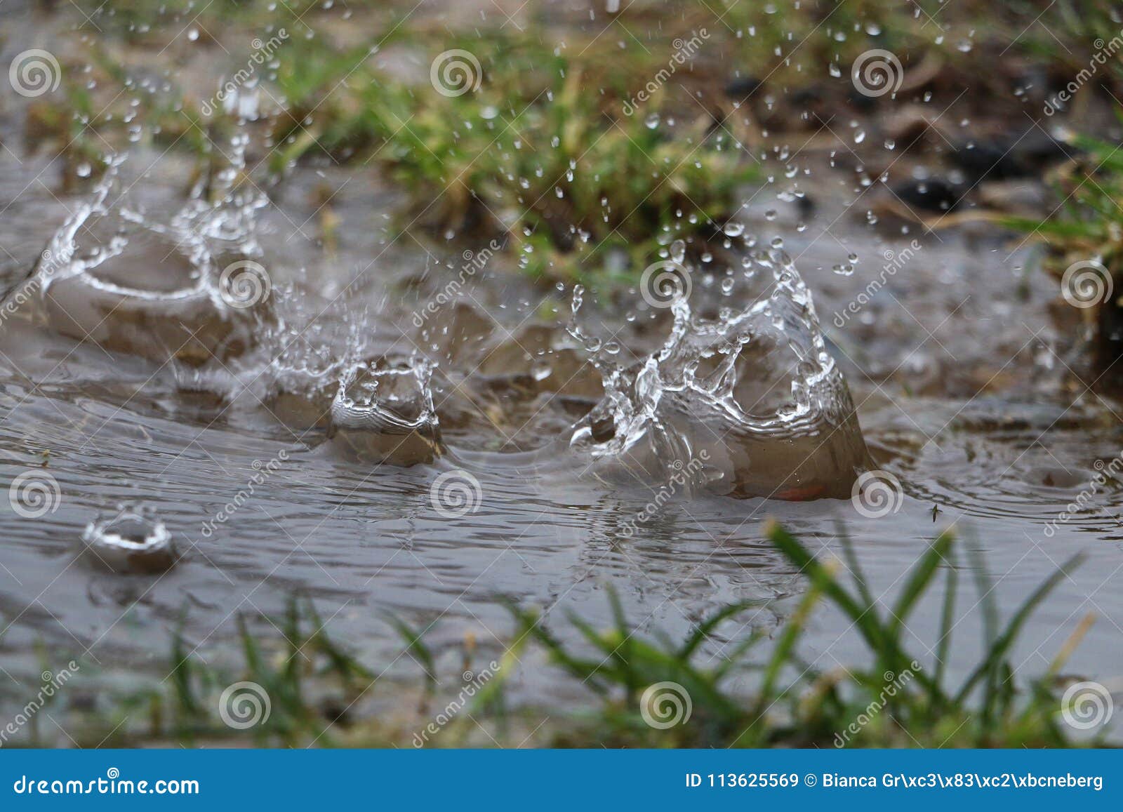 Splashing Rain in the Puddle Stock Image - Image of motion, heavy ...