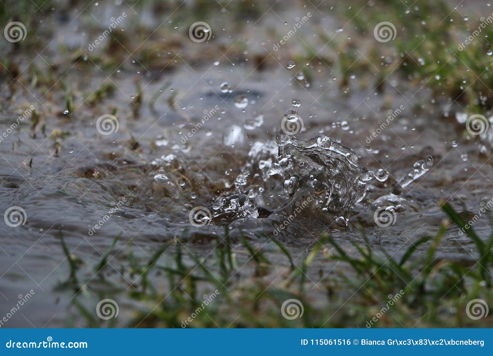 Splashing Water in the Garden Stock Photo - Image of city, liquid ...