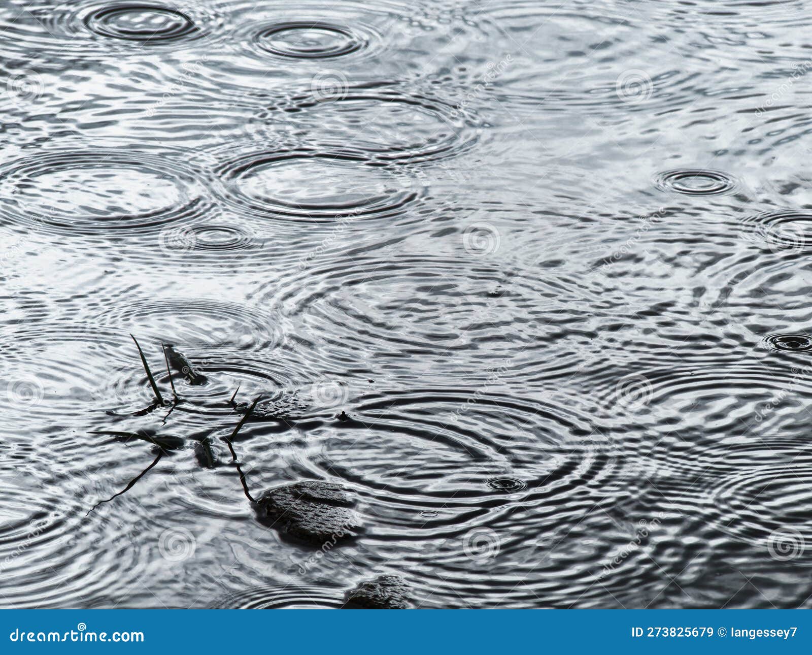Rain in a puddle stock image. Image of asphalt, reflection - 273825679