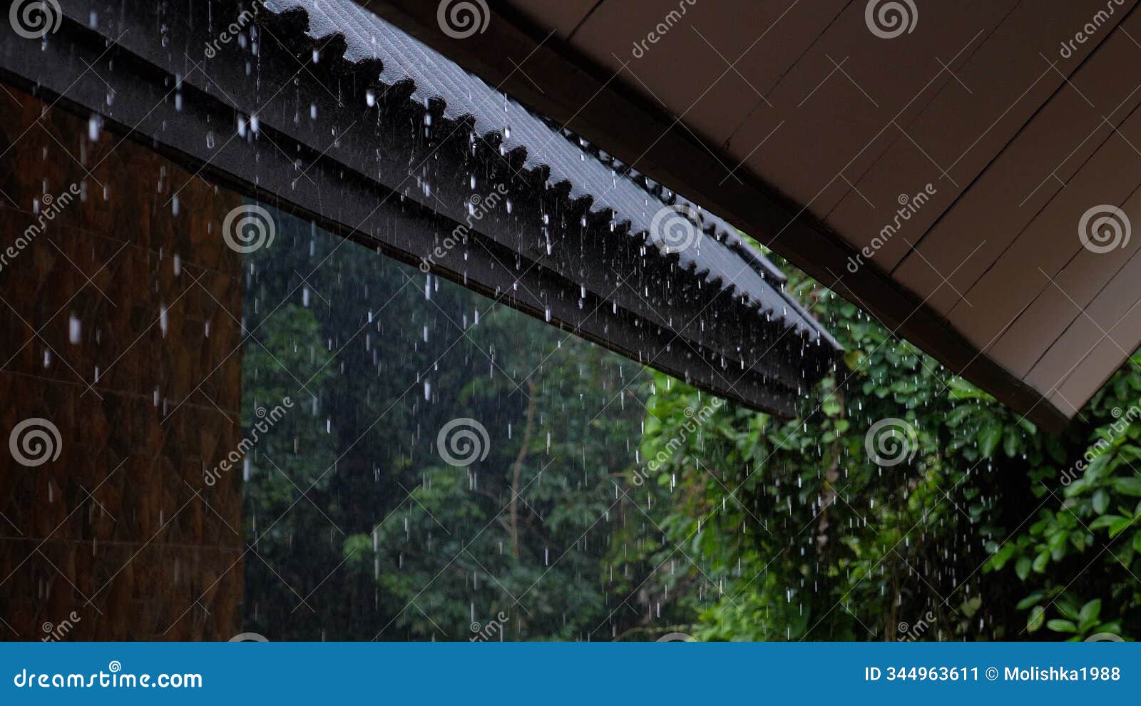 Rain On The Roof Royalty-Free Stock Photo | CartoonDealer.com #278030451