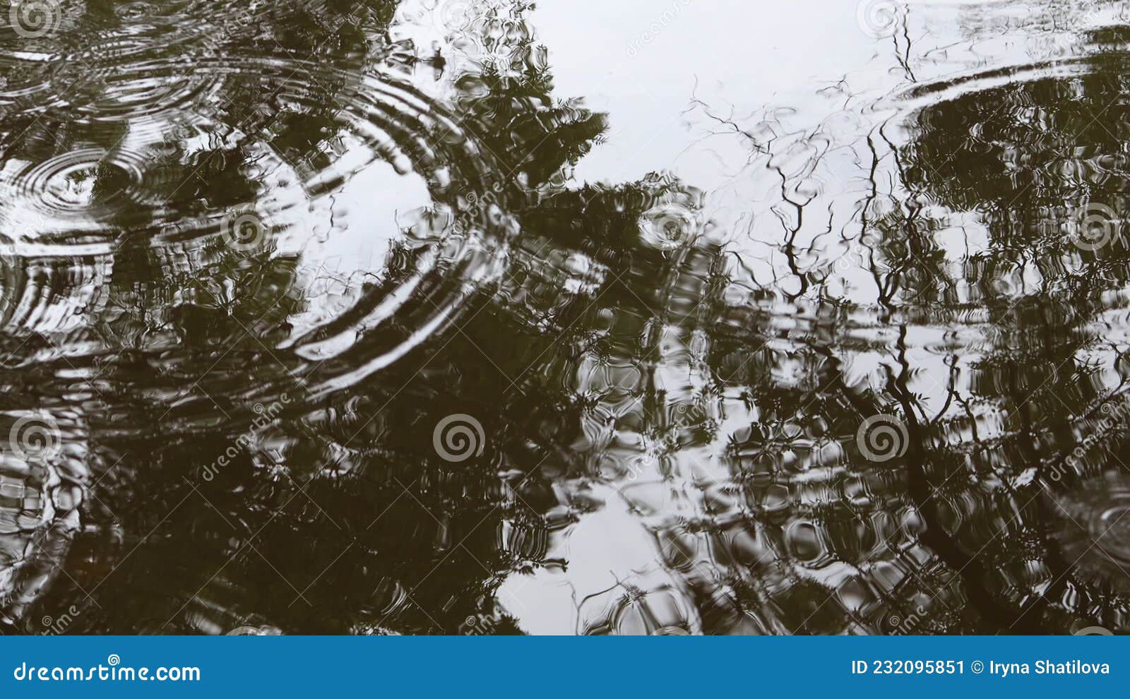 Raindrops on the Water Surface in a Puddle with Black Shadow and ...