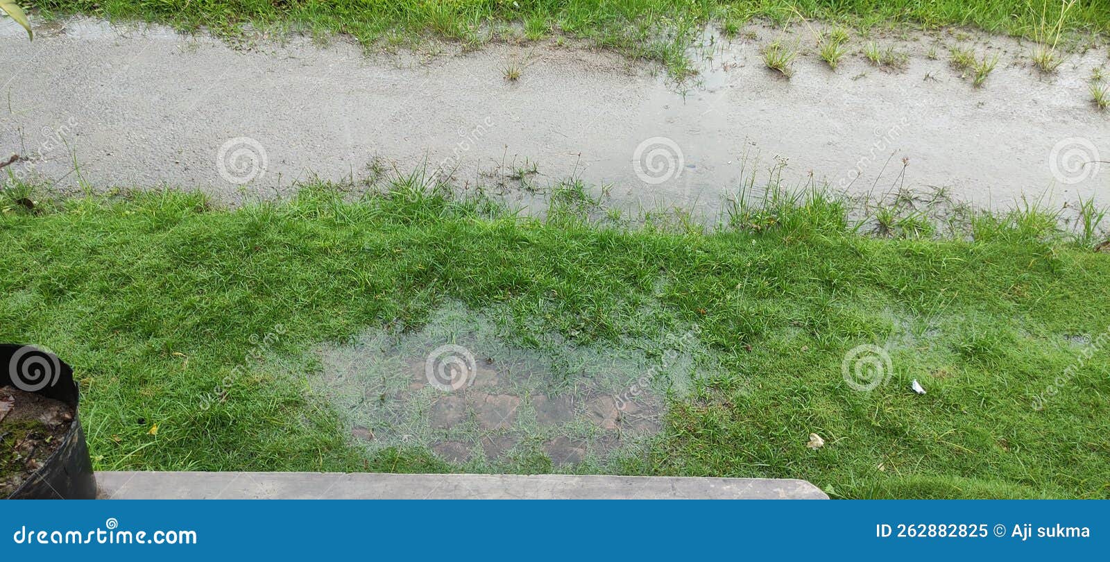 The Rain Fell Again, Wetting the Grass Stock Image - Image of fell ...
