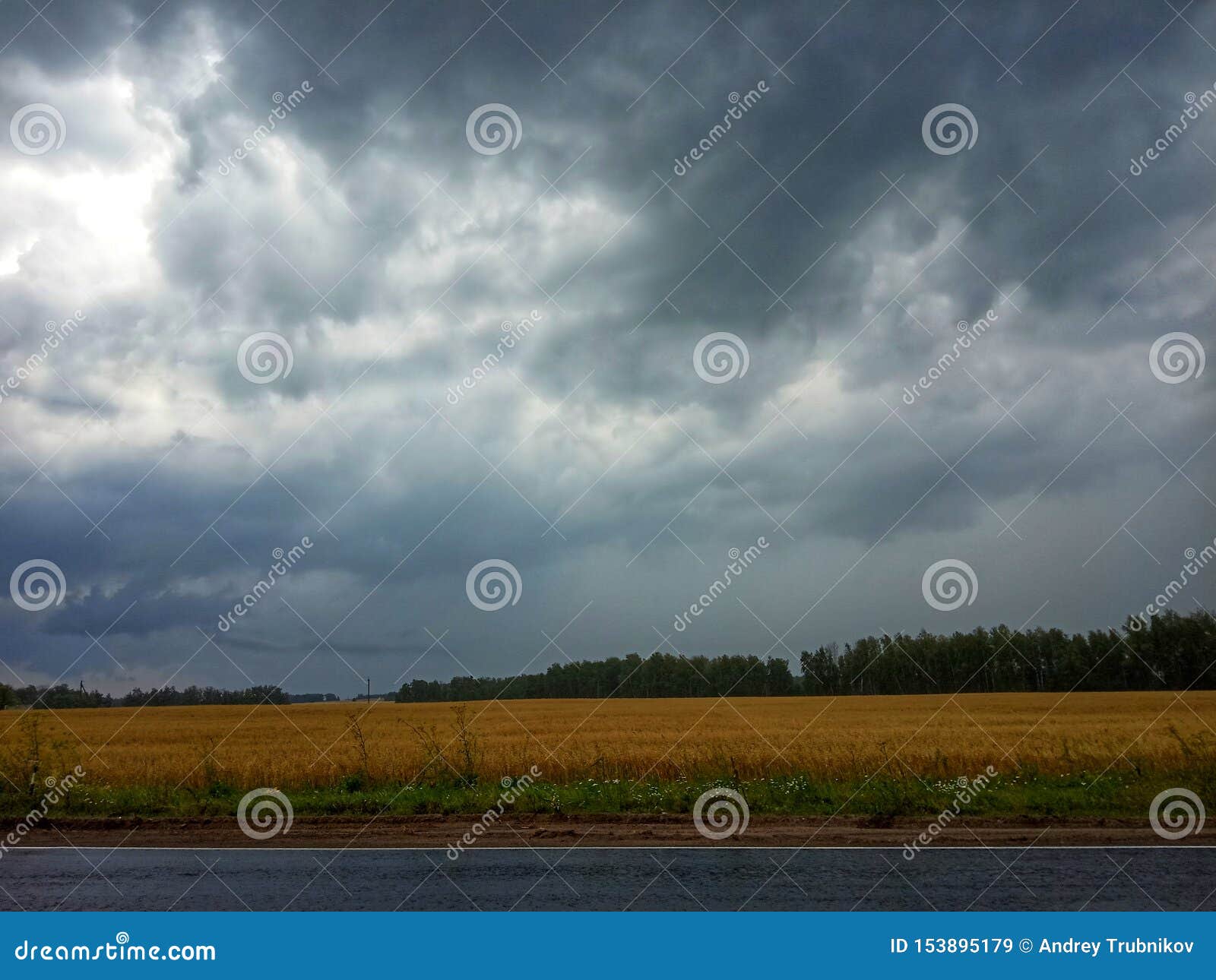 Rain in fields stock image. Image of rain, summer, fields - 153895179