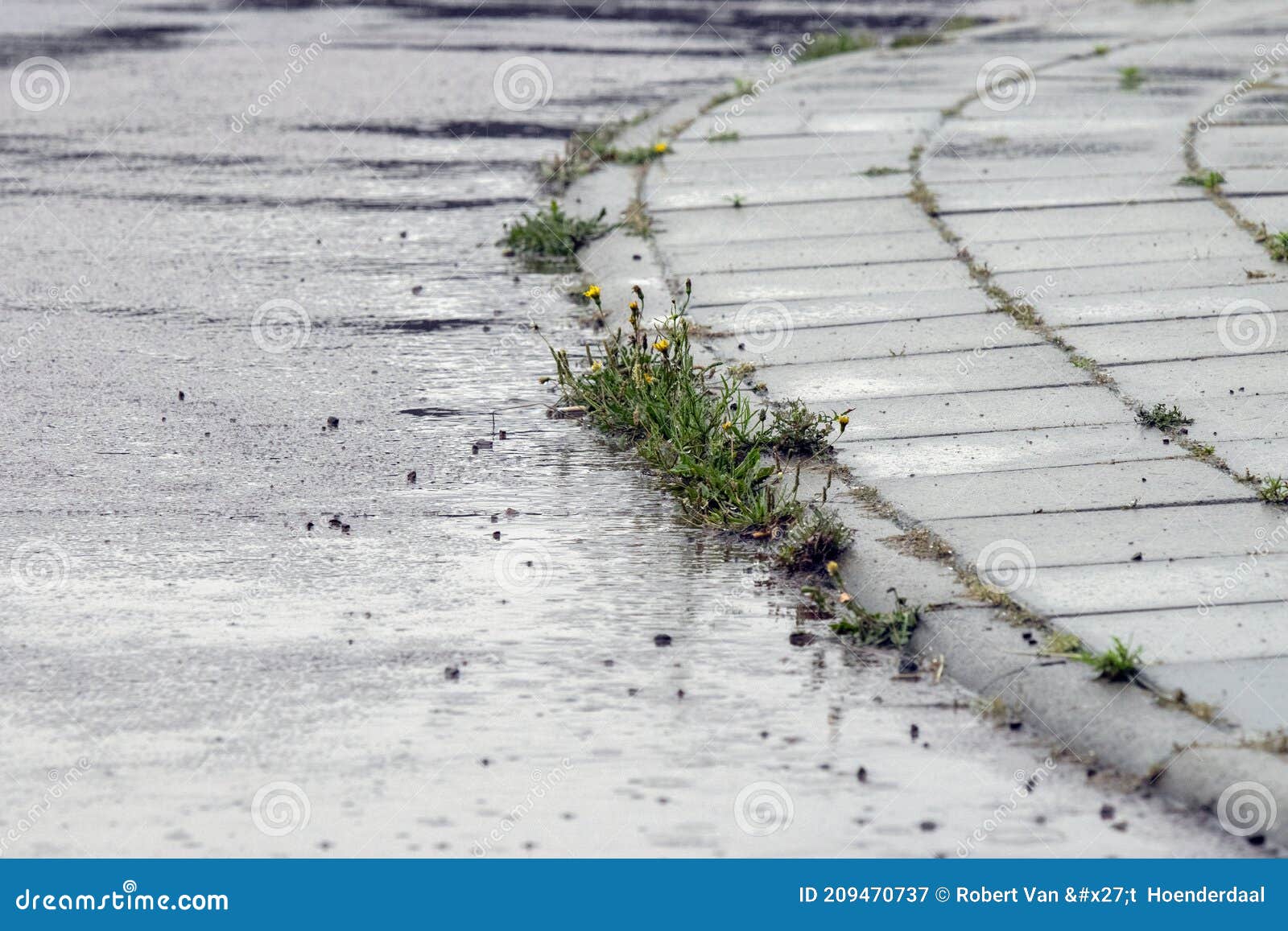 Rain Flooding Bicycle Path at Amsterdam the Netherlands 27-6-2020 Stock ...