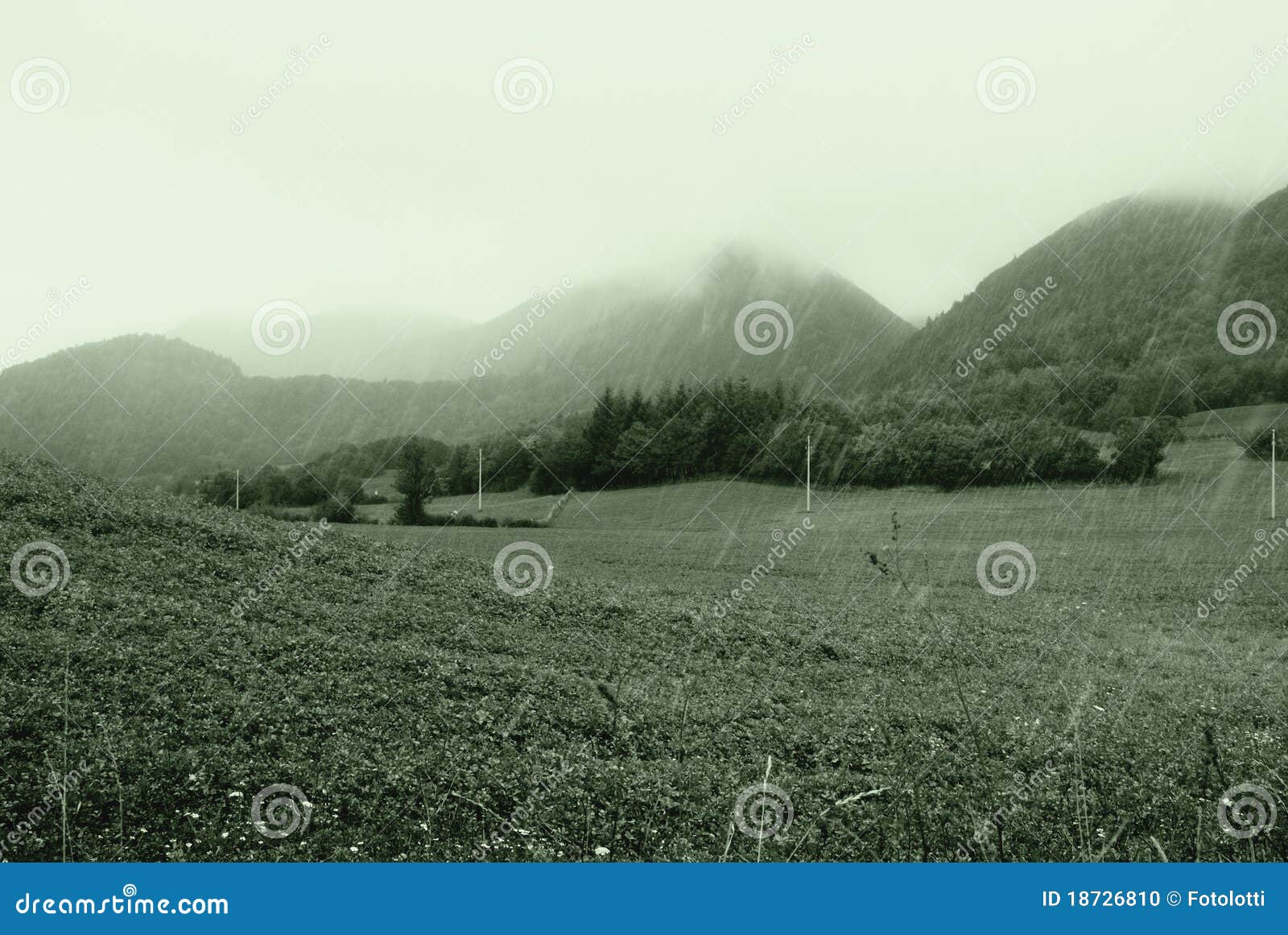 Rain and fog stock photo. Image of nice, december, cloudy - 18726810