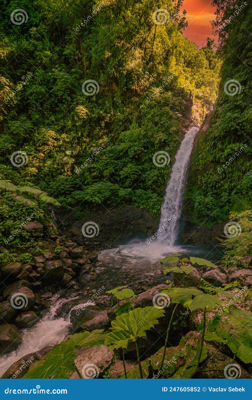 Rain Forest Blue Waterfall stock photo. Image of landscape - 247605852