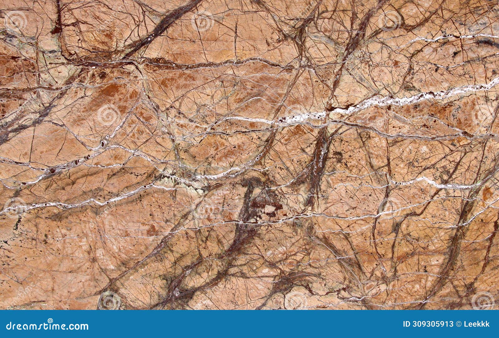 Rain Forest Brown Stone Plate Marble Background Grain Stock Image ...