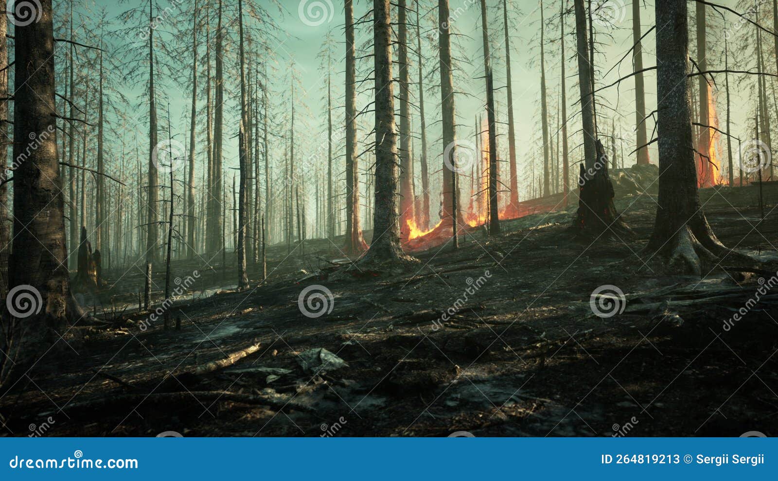 Rain Forest Fire Disaster is Burning Caused by Humans Stock ...