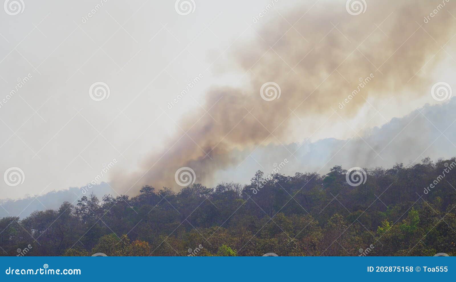 Rain Forest Fire Disaster is Burning Caused by Human Stock Footage ...