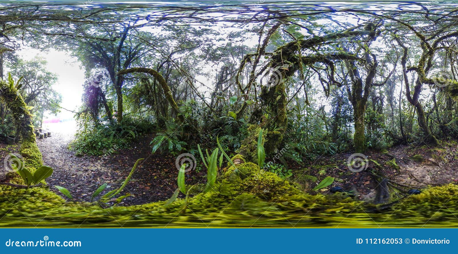 360 View from Top of the Mountain in Jungle Trail Stock Image - Image ...