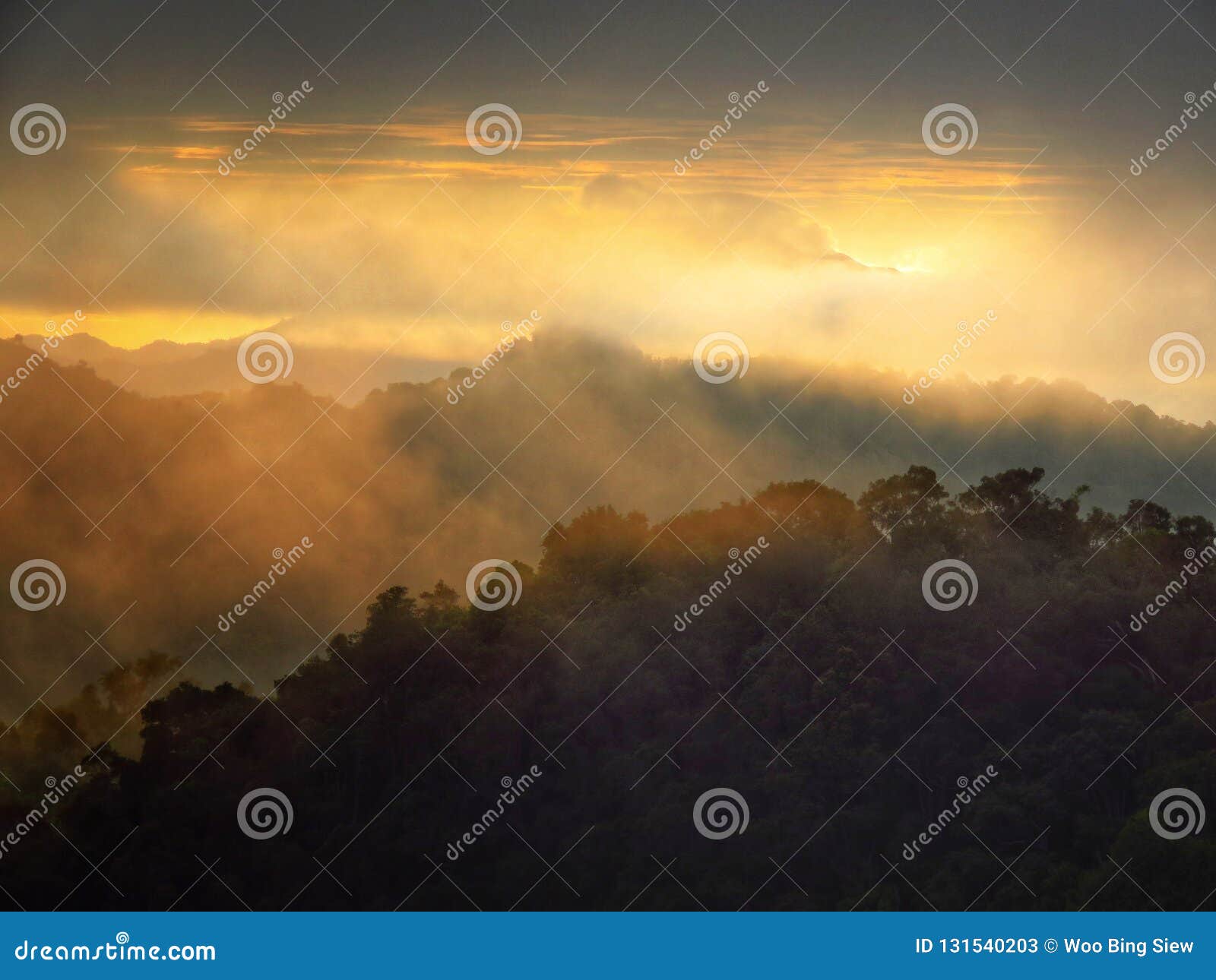 Rain forest in mist stock image. Image of mountains - 131540203