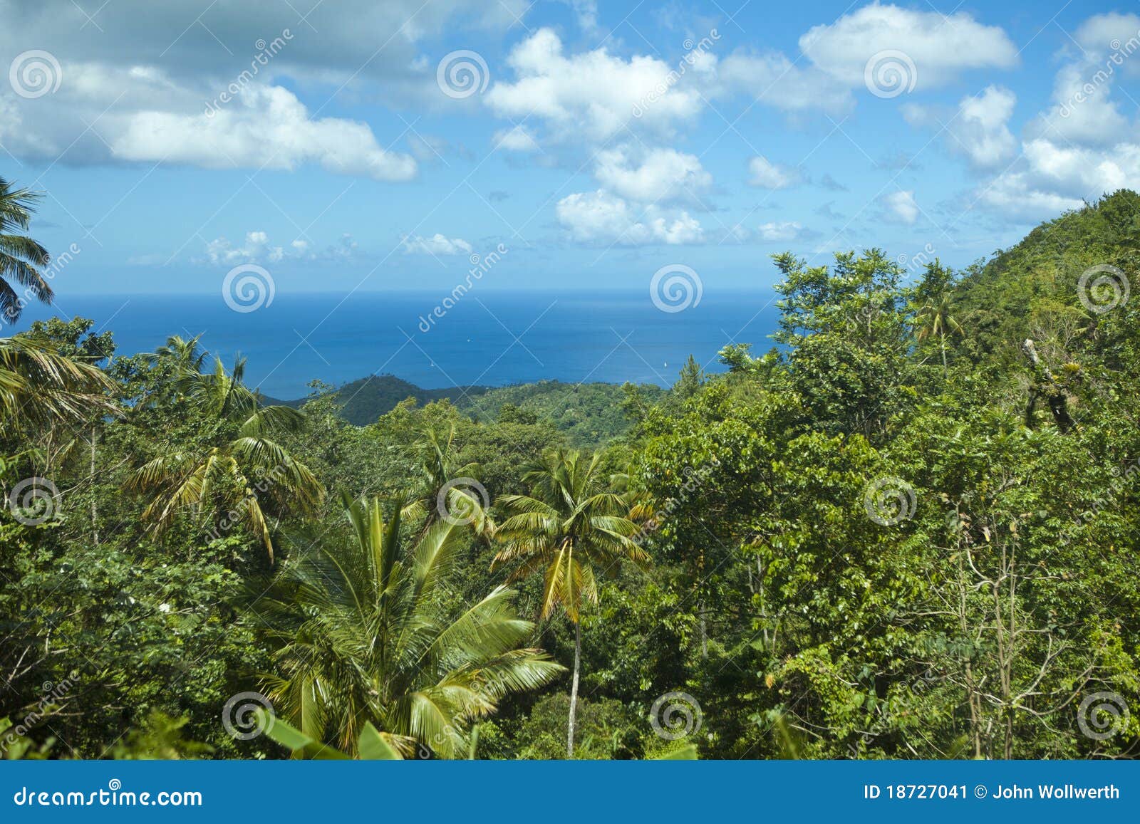 Rain forest and ocean stock image. Image of caribbean - 18727041