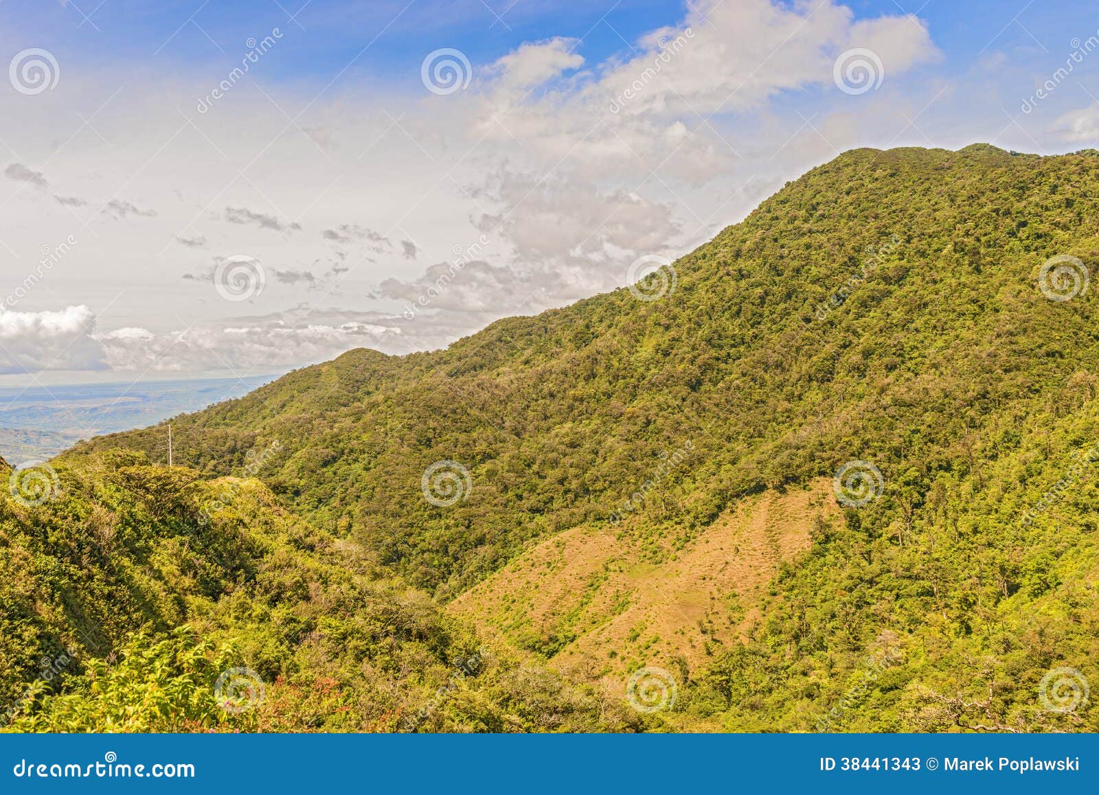 Rain forest, Panama stock image. Image of plateau, mountains - 38441343