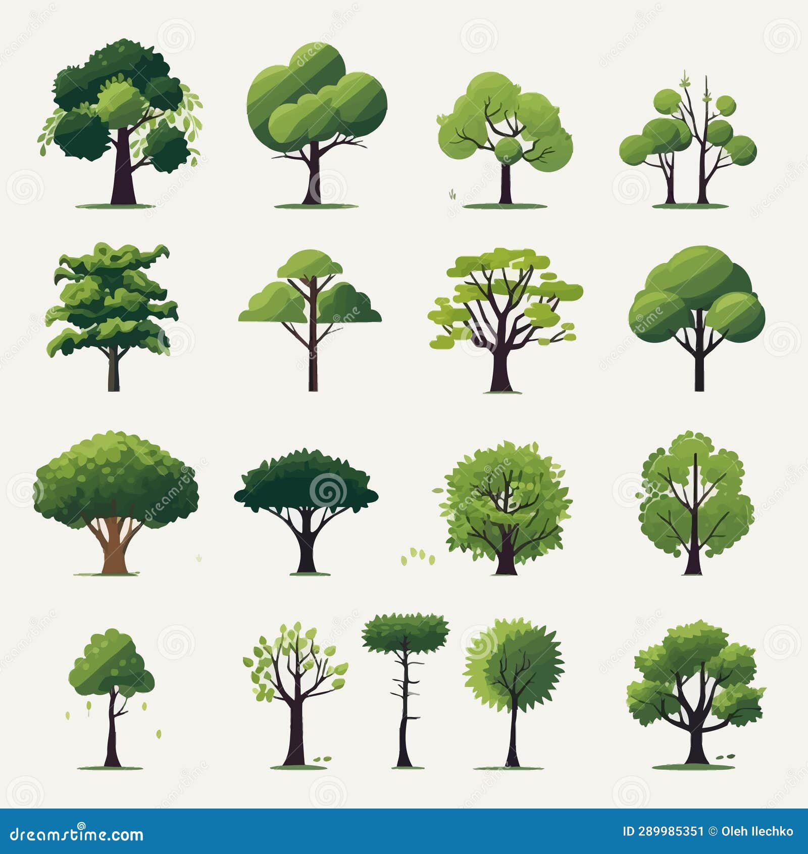 Rain Forest Trees Set Vector Flat Minimalistic Isolated Illustration ...