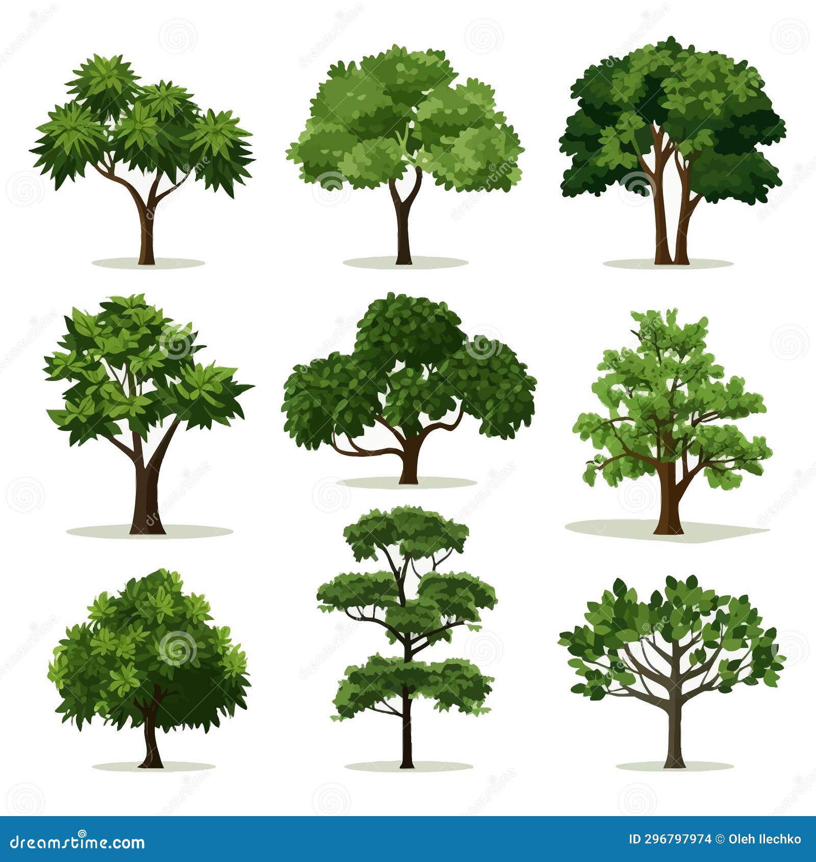 Rain Forest Trees Set Vector Flat Minimalistic Isolated Illustration ...