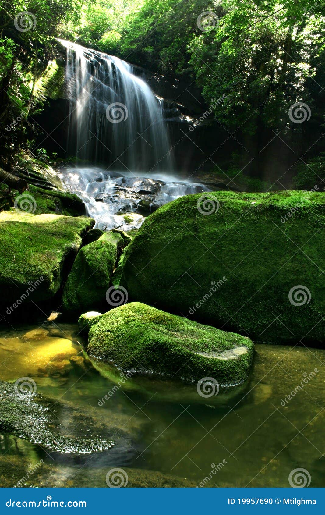 Rain Forest Waterfall stock photo. Image of majestic - 19957690