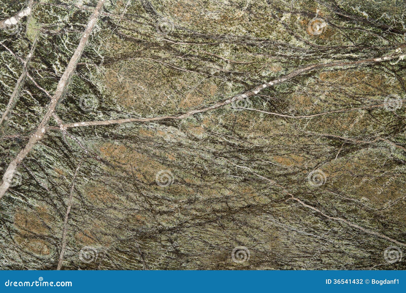 Stone Texture Polished Marble Rain Forrest Green Stock Photo - Image of ...