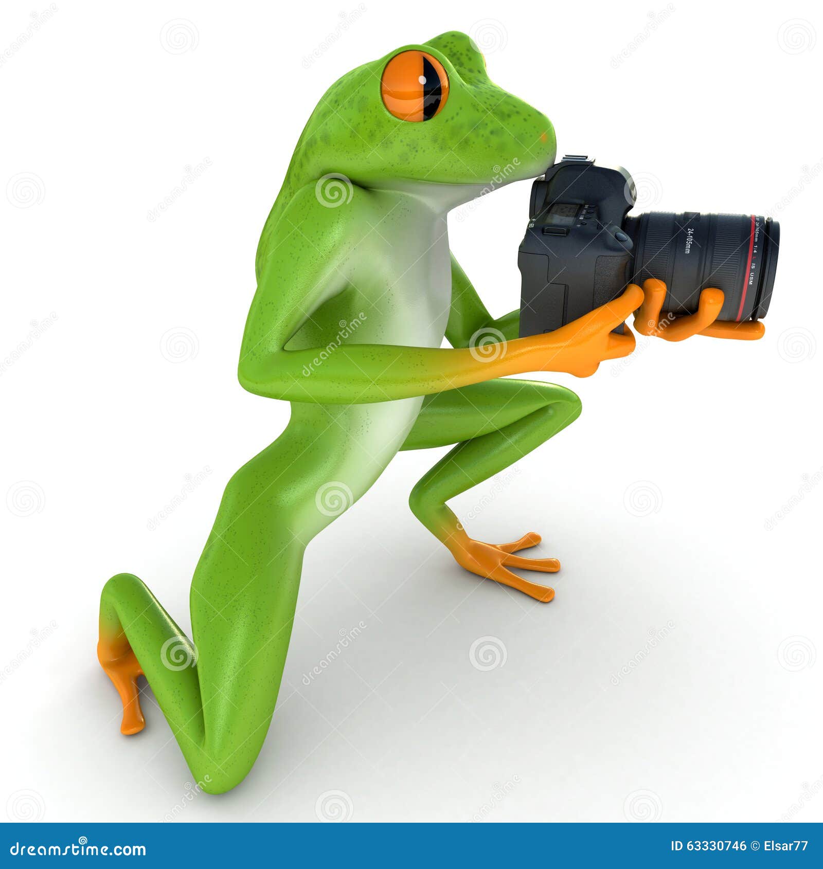 Rain frog photographs editorial photo. Illustration of frog - 63330746