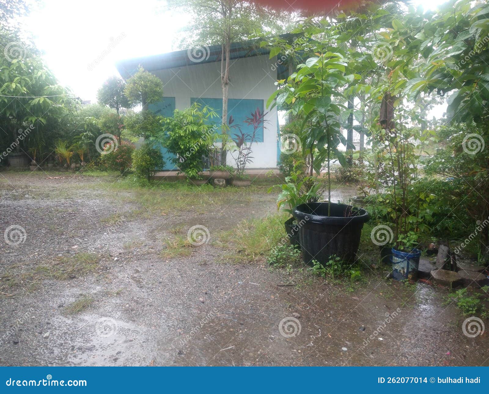 Rain in front of the hut stock photo. Image of courtyard - 262077014