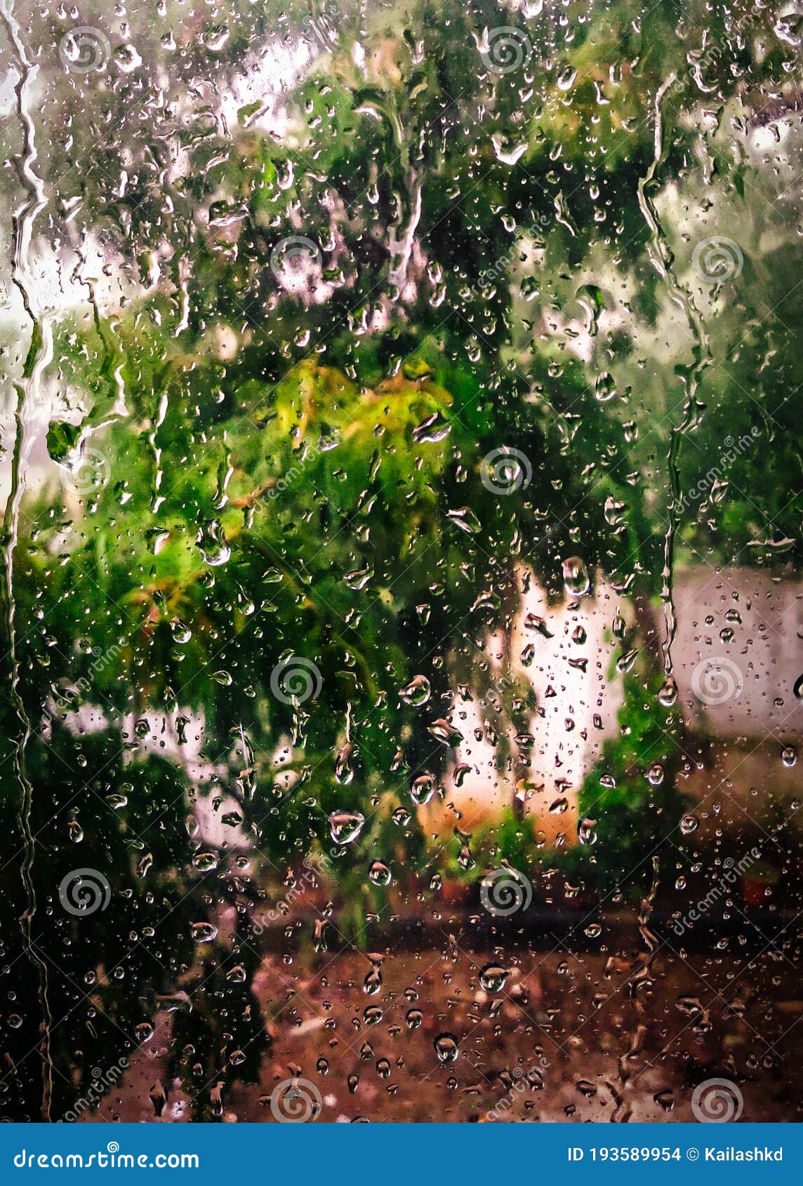 Rain on glass window stock photo. Image of branch, forest - 193589954
